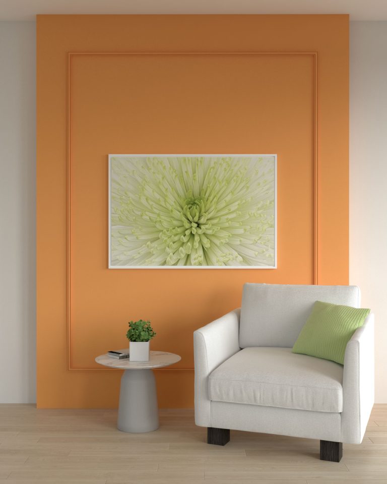 What Color Matches Orange Wall? (15 Beautiful Options) - roomdsign.com