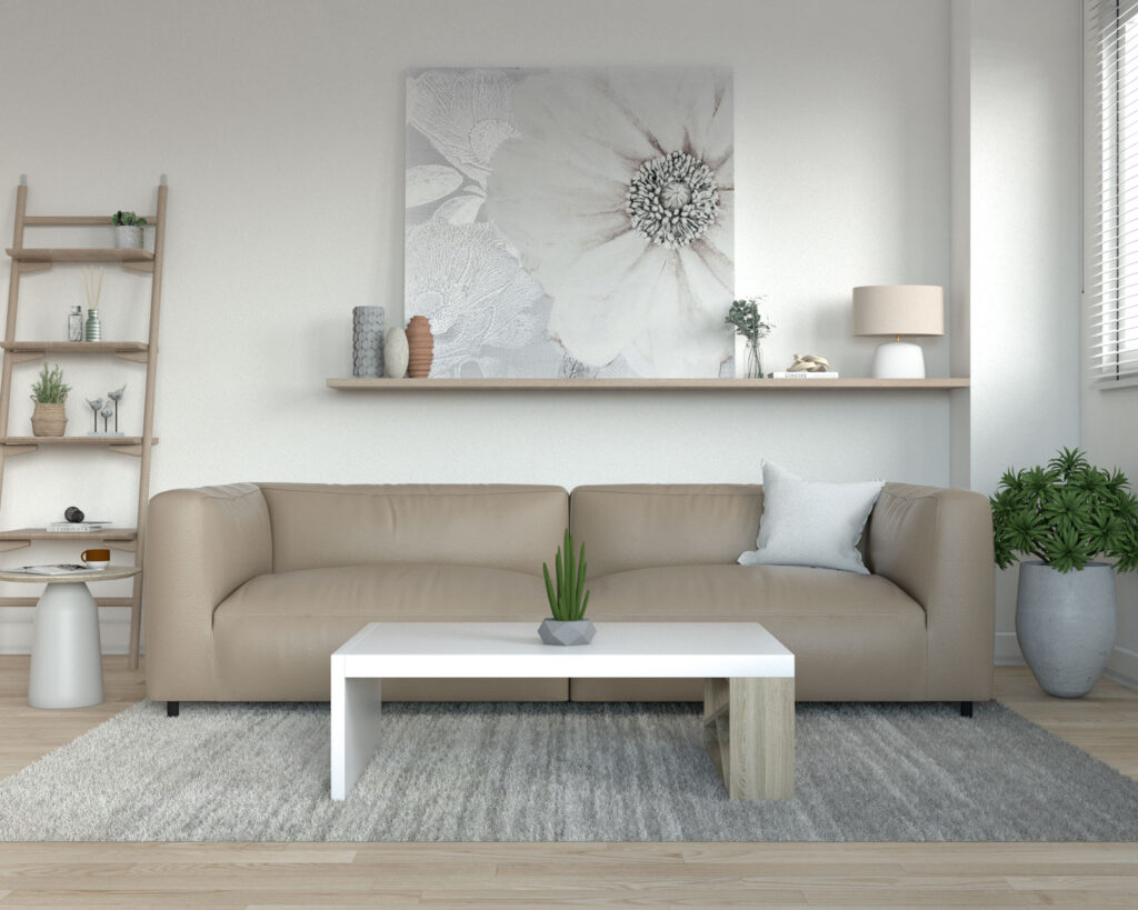 What Color Rug Goes with Tan Couch? (10 Charming Options) - roomdsign.com