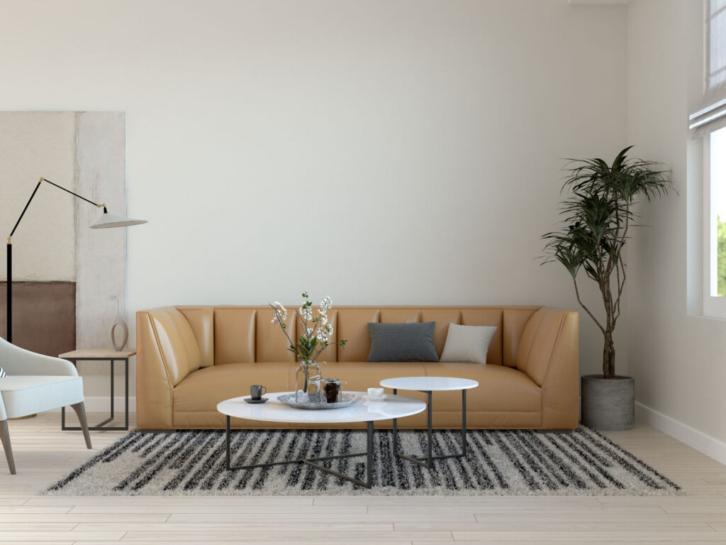 7 Best Rug Colors For Camel Couch - roomdsign.com