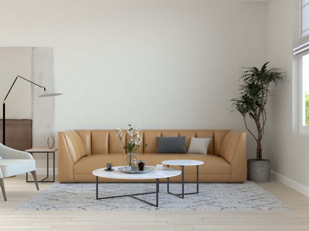 7 Best Rug Colors For Camel Couch - roomdsign.com